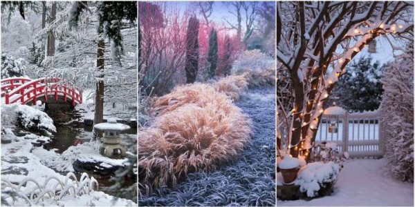Učilište Profokus: Lijepi vrt zimi!